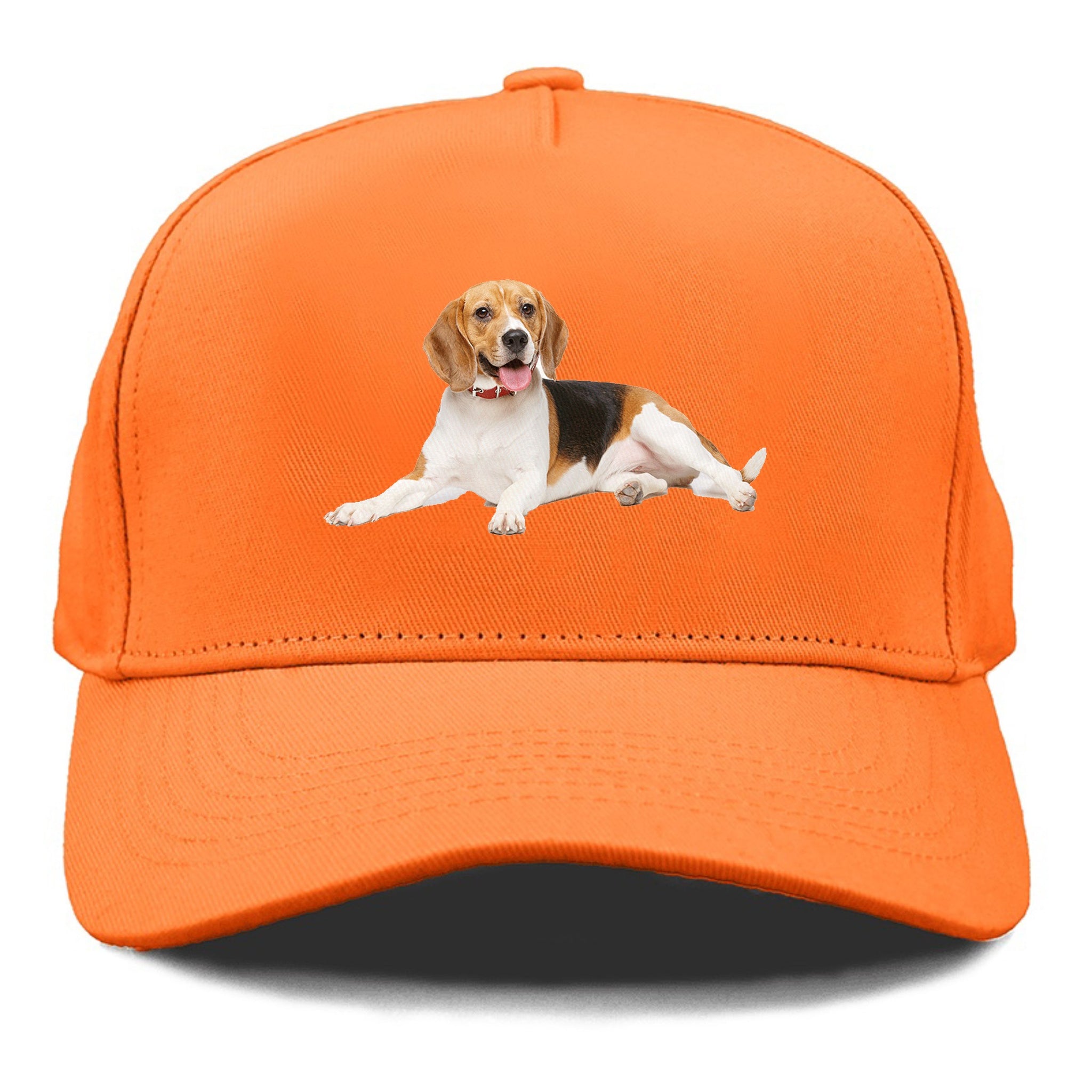 Beagle Cap – Pandaize